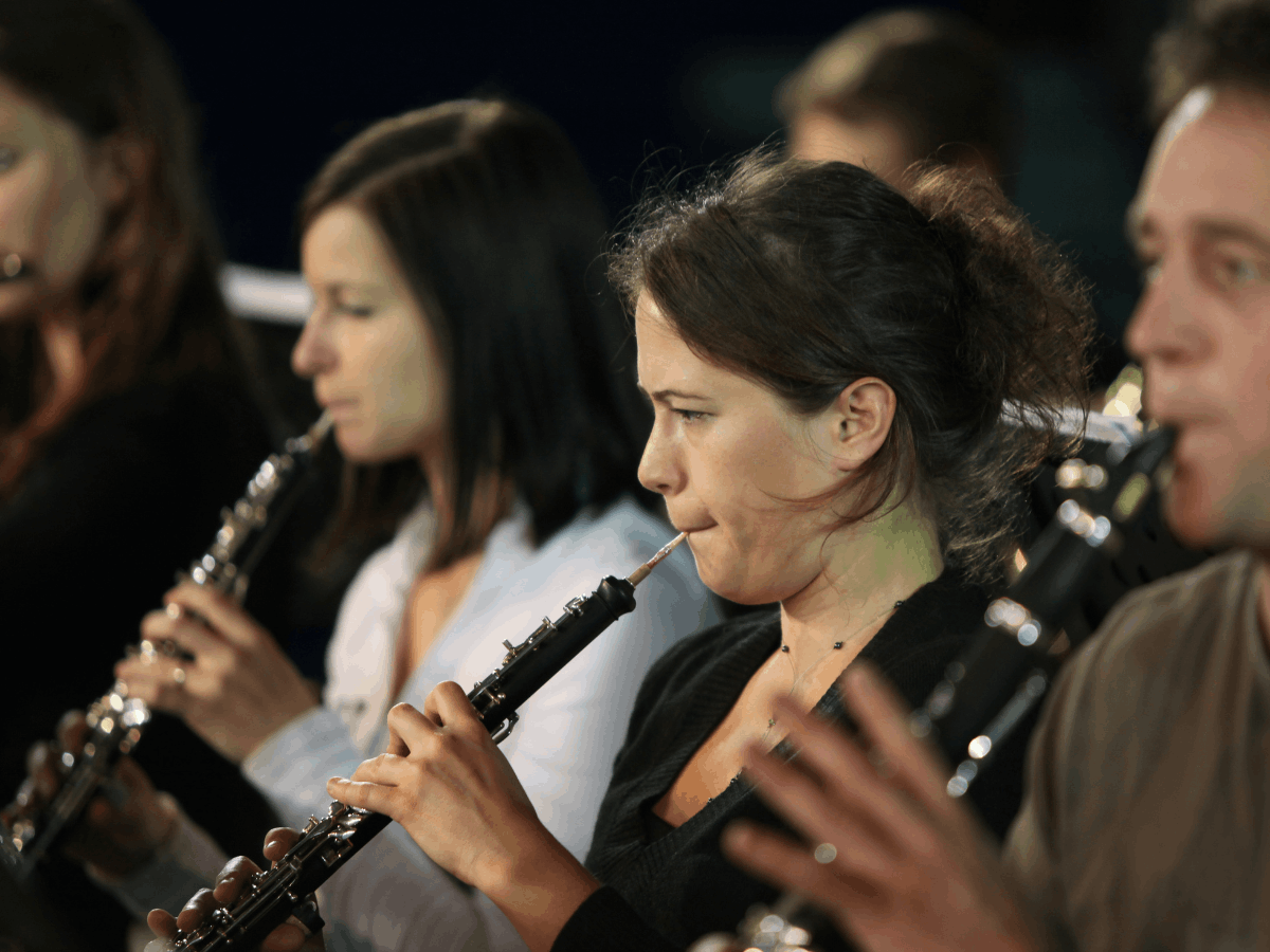 A Complete List Of Woodwind Instruments In The Orchestra | Ted's List