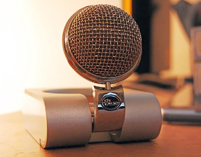 Is A Microphone An Input Or Output Device? | Ted's List
