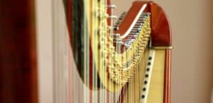 We Explain The Different Types Of Harps | Ted's List