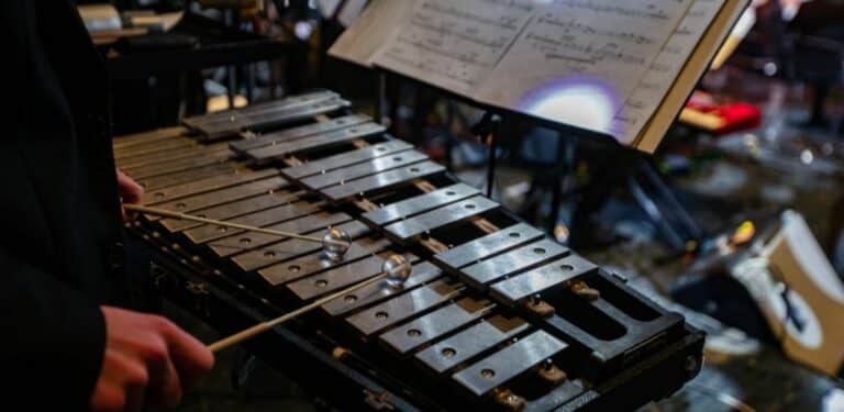 Xylophone Vs Glockenspiel: The Ultimate Percussion Competition | Ted's List