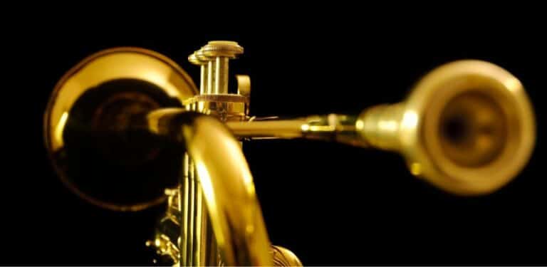 Explained: Types Of Trumpet Mouthpieces | Ted's List