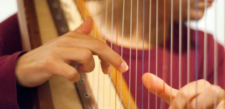 We Explain The Different Types Of Harps | Ted's List