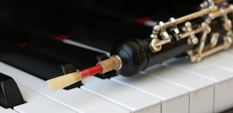 Types Of Oboes: Exploring The Various Styles And Sounds | Ted's List