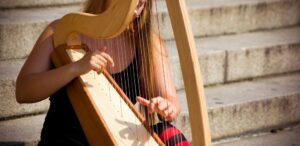 We Explain The Different Types Of Harps | Ted's List