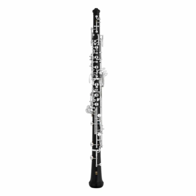 Types Of Oboes: Exploring The Various Styles And Sounds | Ted's List