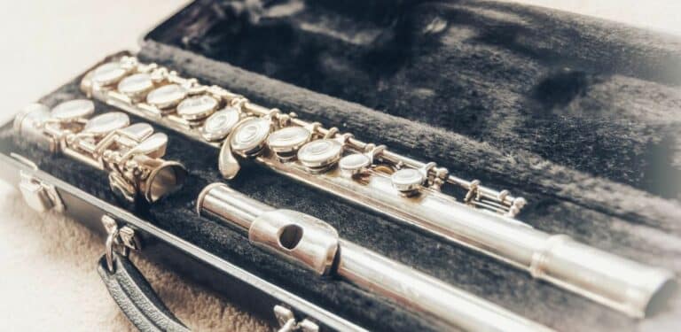 Highest Note On The Flute | Ted's List