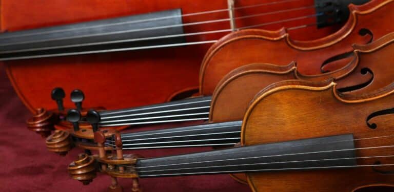 Orchestra Instruments List With Pictures: Your Visual Guide To ...
