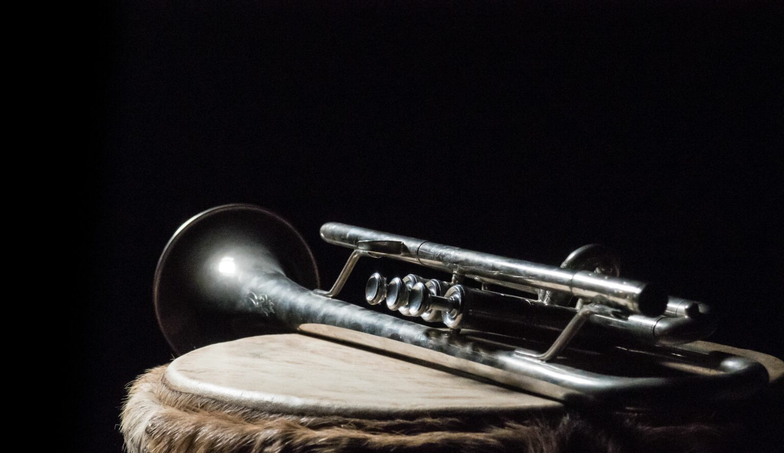 The Secret History Of Trumpets That Will Amaze You | Ted's List