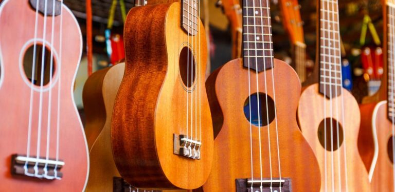 A Quick Guide To The Different Types Of Ukuleles | Ted's List
