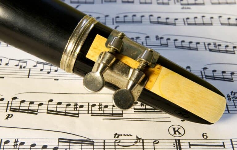 Clarinet Reed Size For Beginners: Your Guide To The Perfect Start | Ted ...