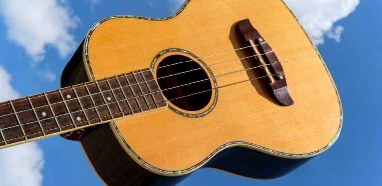 Top Tips On Baritone Ukulele Tuning | Ted's List