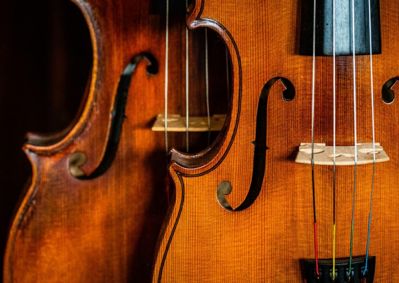 Best Violins For Students: A Guide For Beginner Pupils | Ted's List