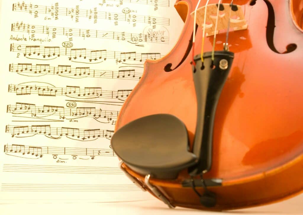 Our Best Viola Brands List Of 2025 | Ted's List