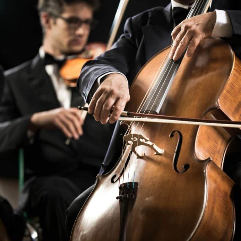 The Complete List Of String Instruments In An Orchestra | Ted's List