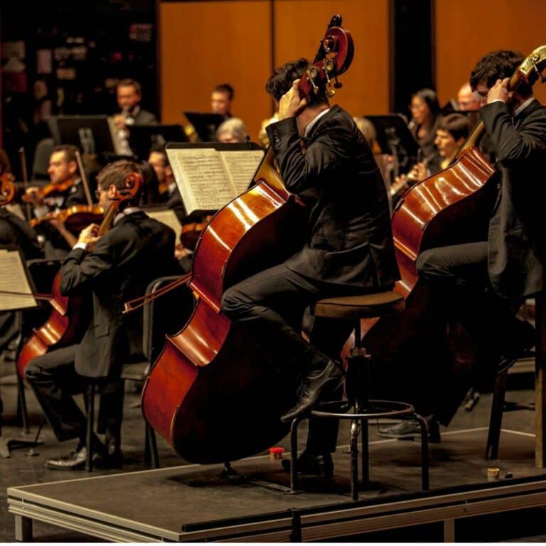 The Complete List Of String Instruments In An Orchestra | Ted's List