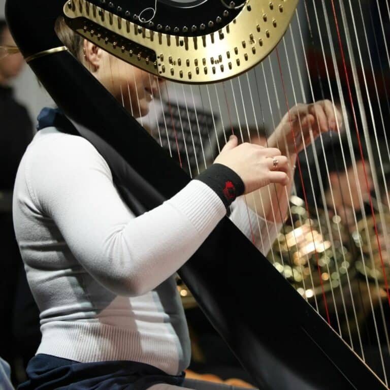 The Complete List Of String Instruments In An Orchestra | Ted's List