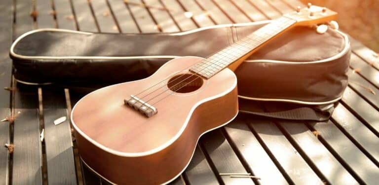 Smallest Instrument In The World | Ted's List