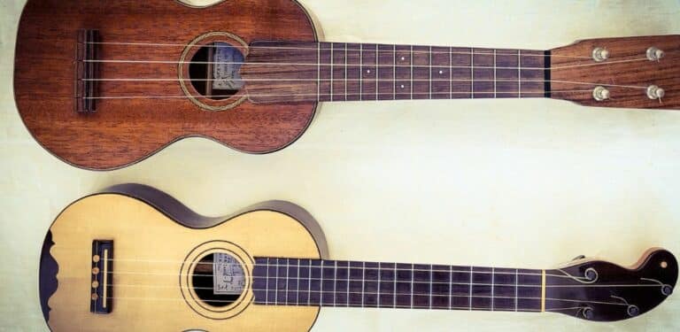 What Does Ukulele Mean? Uncovering Hawaii's Iconic Instrument | Ted's List