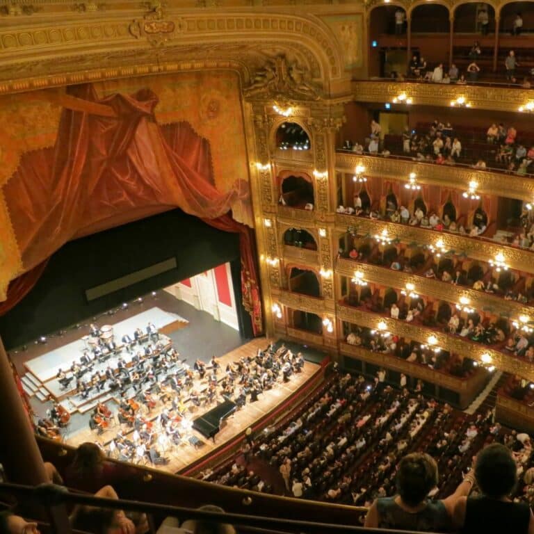 The Complete List Of String Instruments In An Orchestra | Ted's List