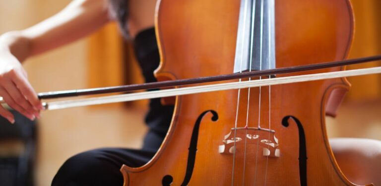 Discover The Different Types Of Cello Bows | Ted's List