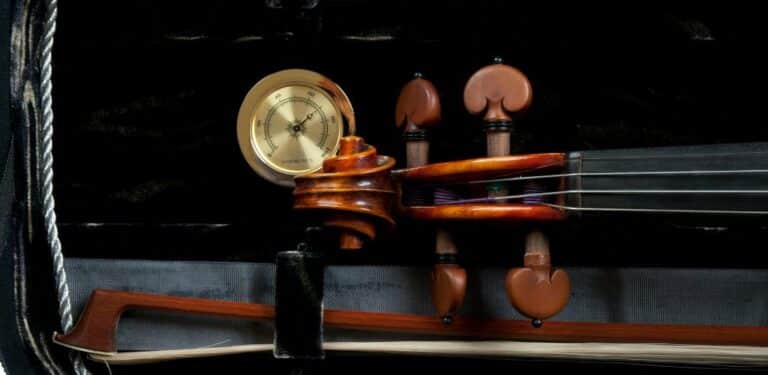 Do You Need A Humidifier For Violin? Absolutely... | Ted's List