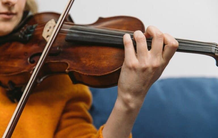 My List Of The Best Professional Violins On The Market | Ted's List