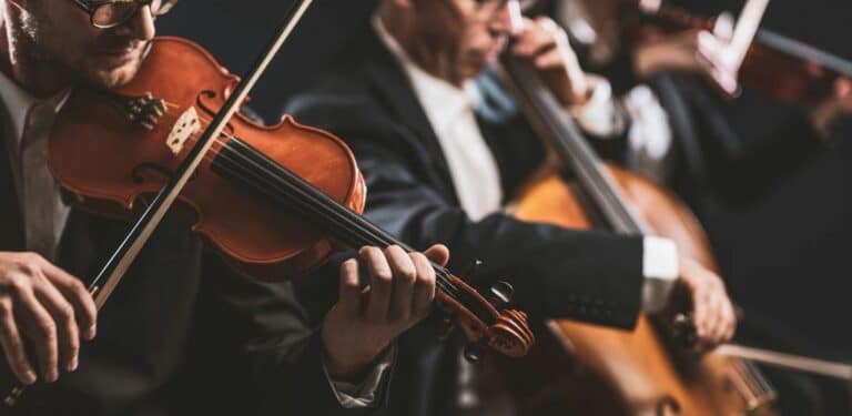The Complete List Of String Instruments In An Orchestra | Ted's List