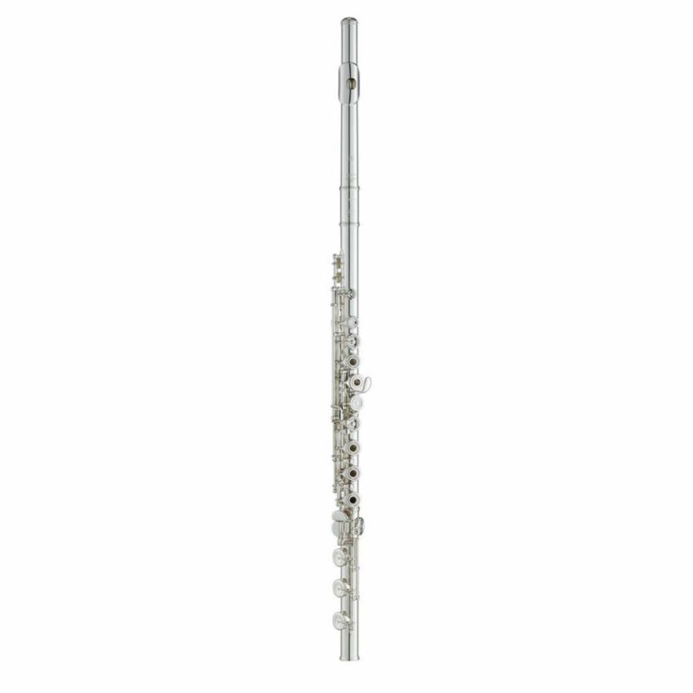 How Many Keys Does The Flute Have? A Complete Guide For 2025 | Ted's List