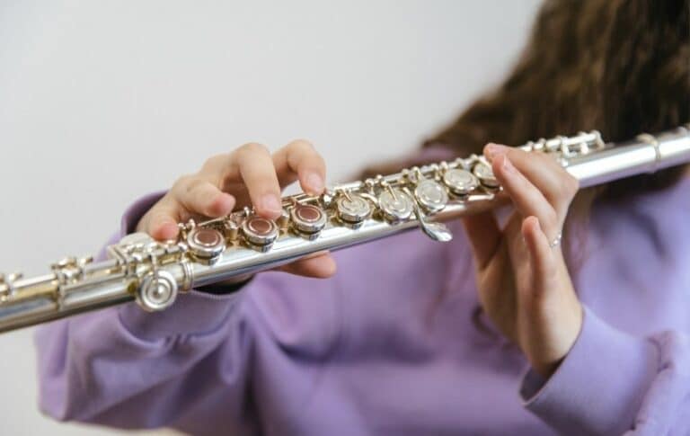 Best Flute Brands For Students: Top Choices For Budding Musicians | Ted ...