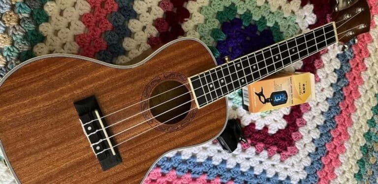 Smallest Instrument In The World | Ted's List