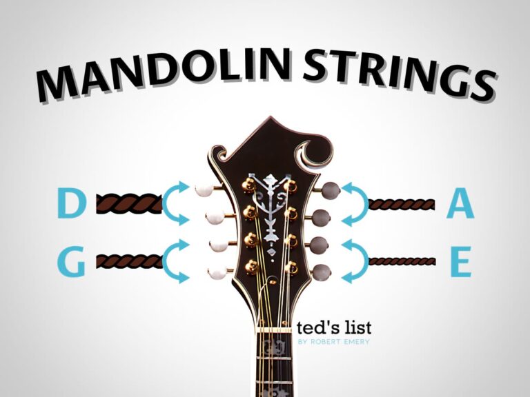 Mandolin String Notes: Mastering The Basics For Beginners | Ted's List