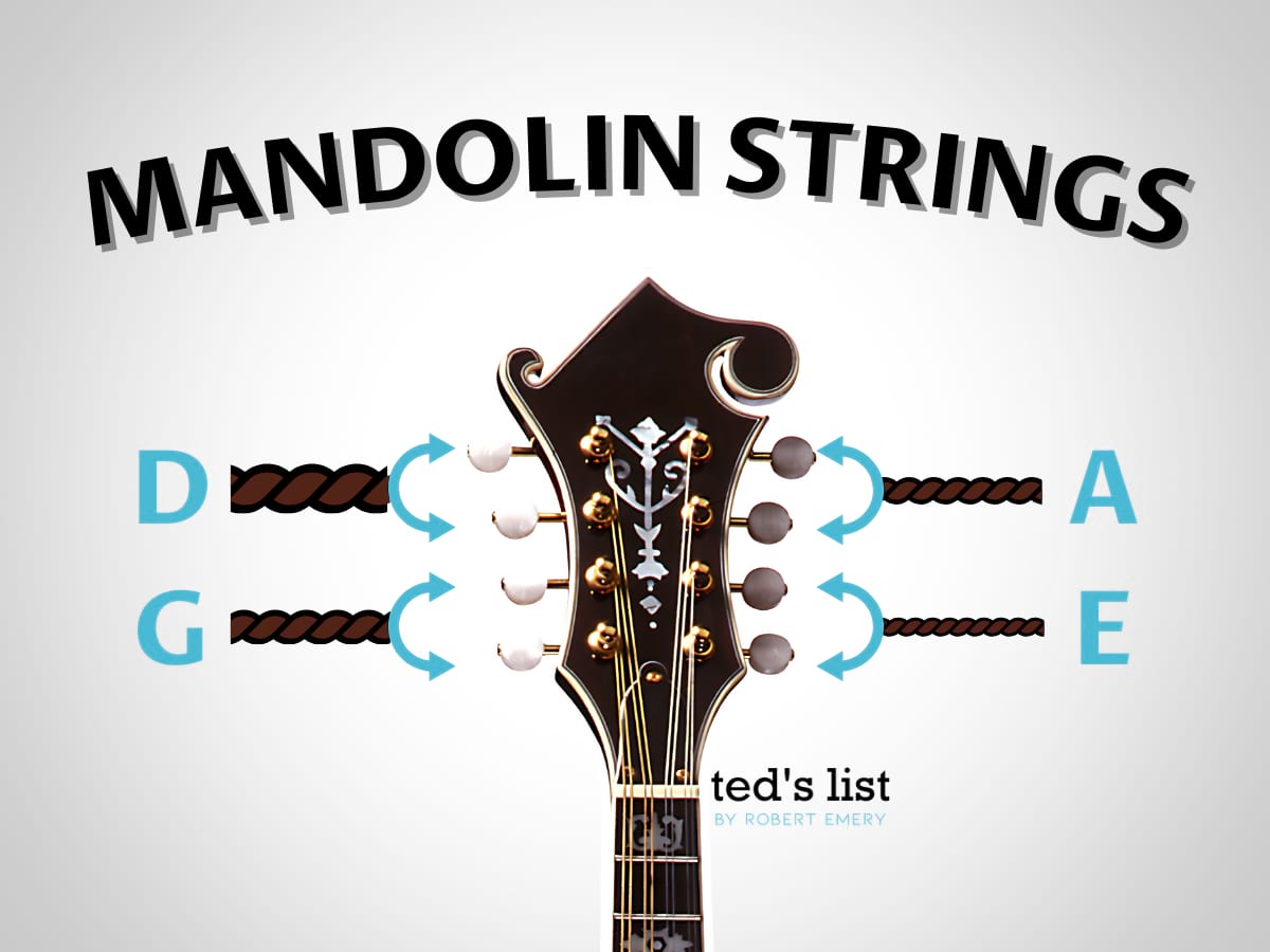 Mandolin String Notes: Mastering The Basics For Beginners | Ted's List